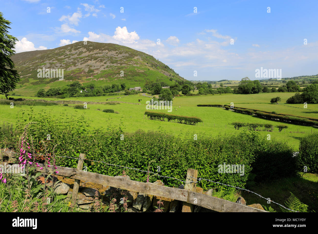 Lakeland landscape photography hi-res stock photography and images - Alamy