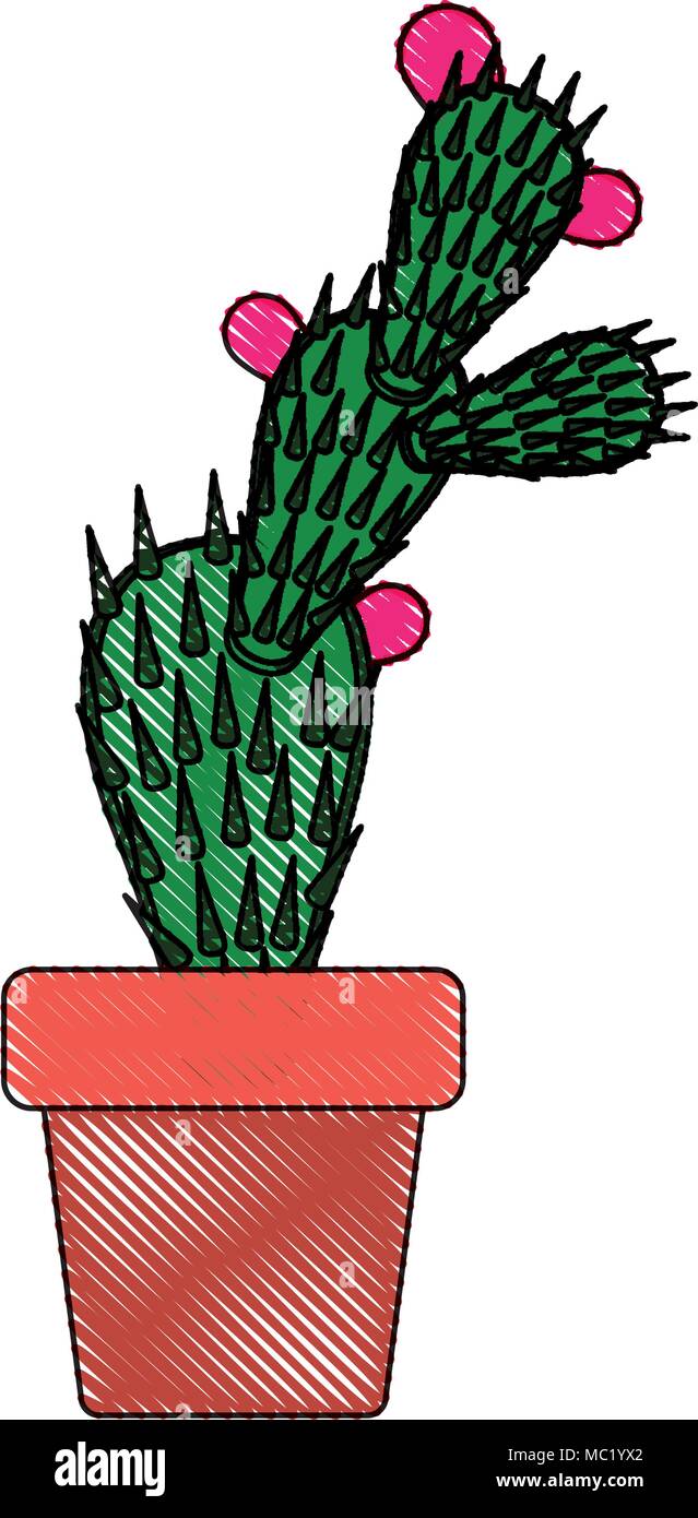 Nopal botanical illustration hi-res stock photography and images - Alamy