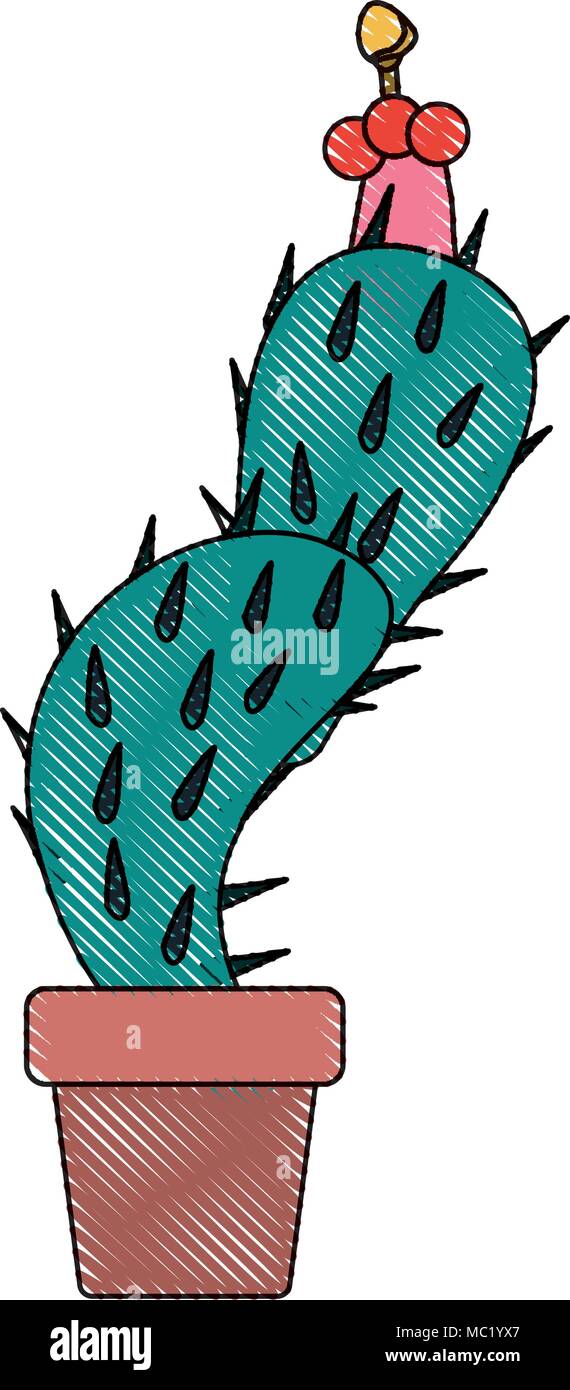Nopal botanical illustration hi-res stock photography and images - Alamy