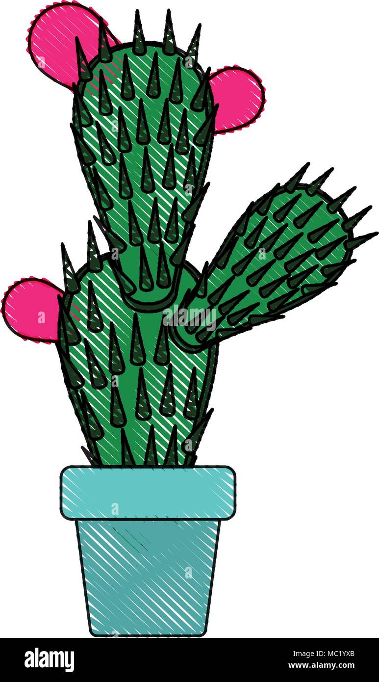 Nopal botanical illustration hi-res stock photography and images - Alamy
