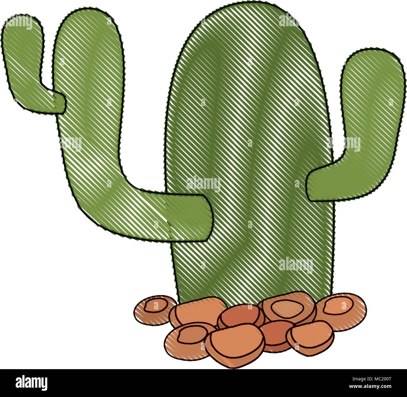 Nopal botanical illustration hi-res stock photography and images - Alamy