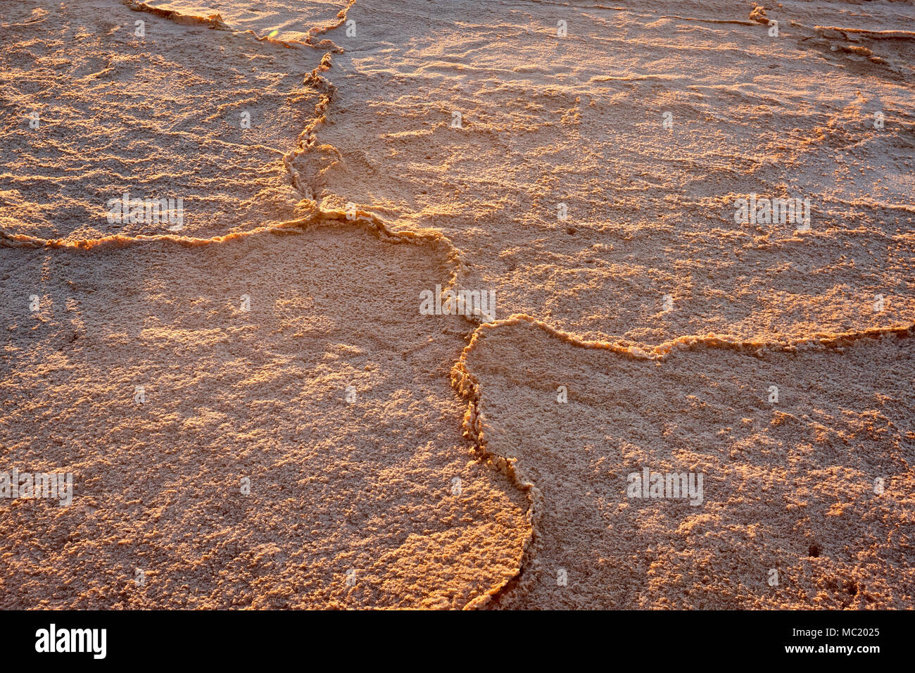 Golden sunlight enhances texture in salt crust on dry lake near Mildura ...
