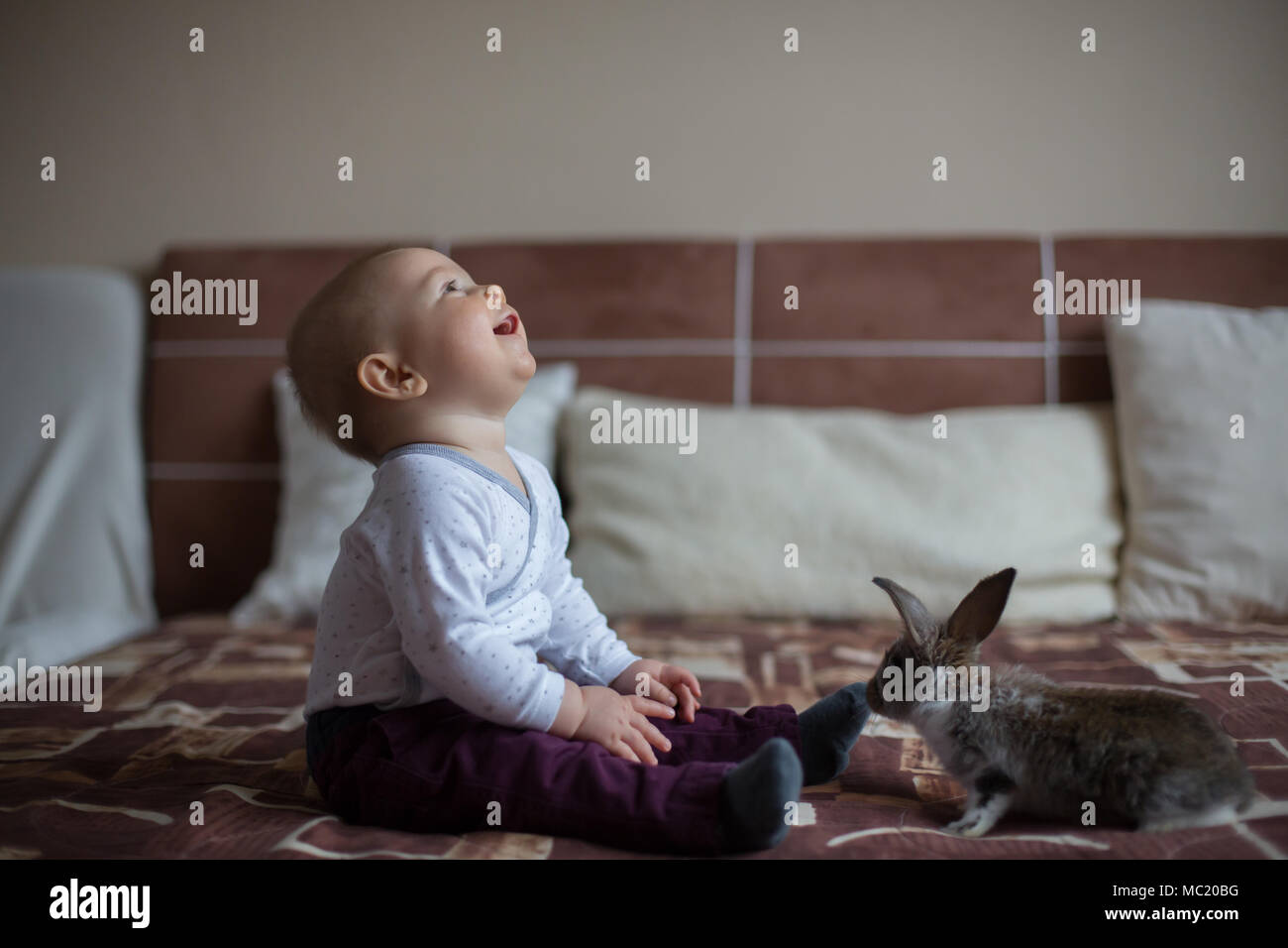 Cute little baby boy, playing with rabbits, pets at home Stock Photo ...