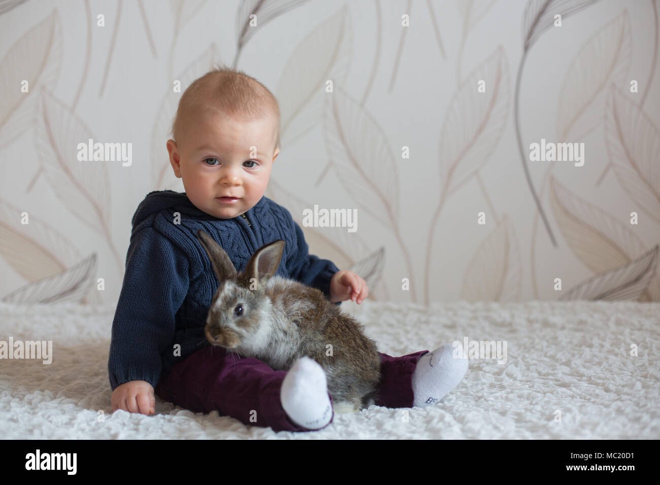 Cute little baby boy, playing with rabbits, pets at home Stock Photo ...