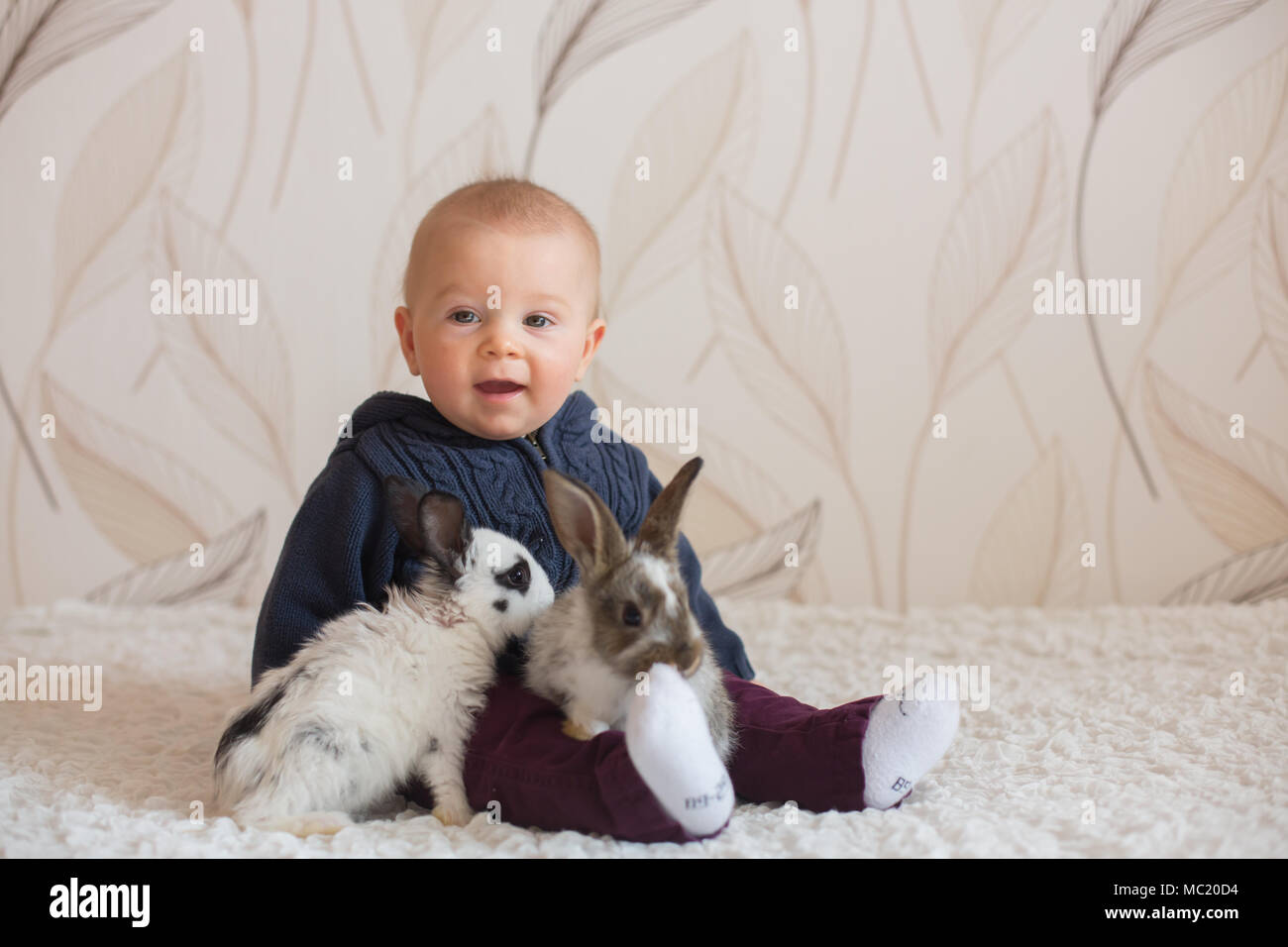 Cute little baby boy, playing with rabbits, pets at home Stock Photo ...