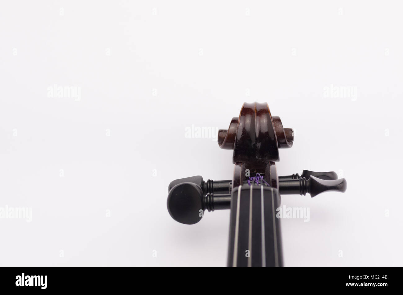 violin neck and scroll parts perspective on a white background Stock ...