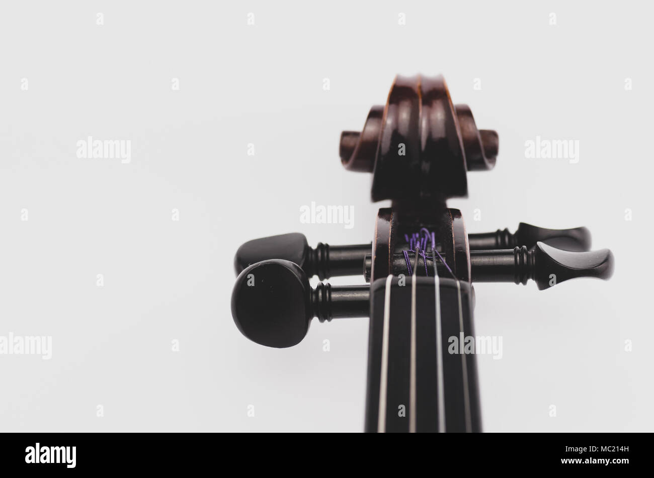violin neck and scroll parts perspective on a white background Stock ...