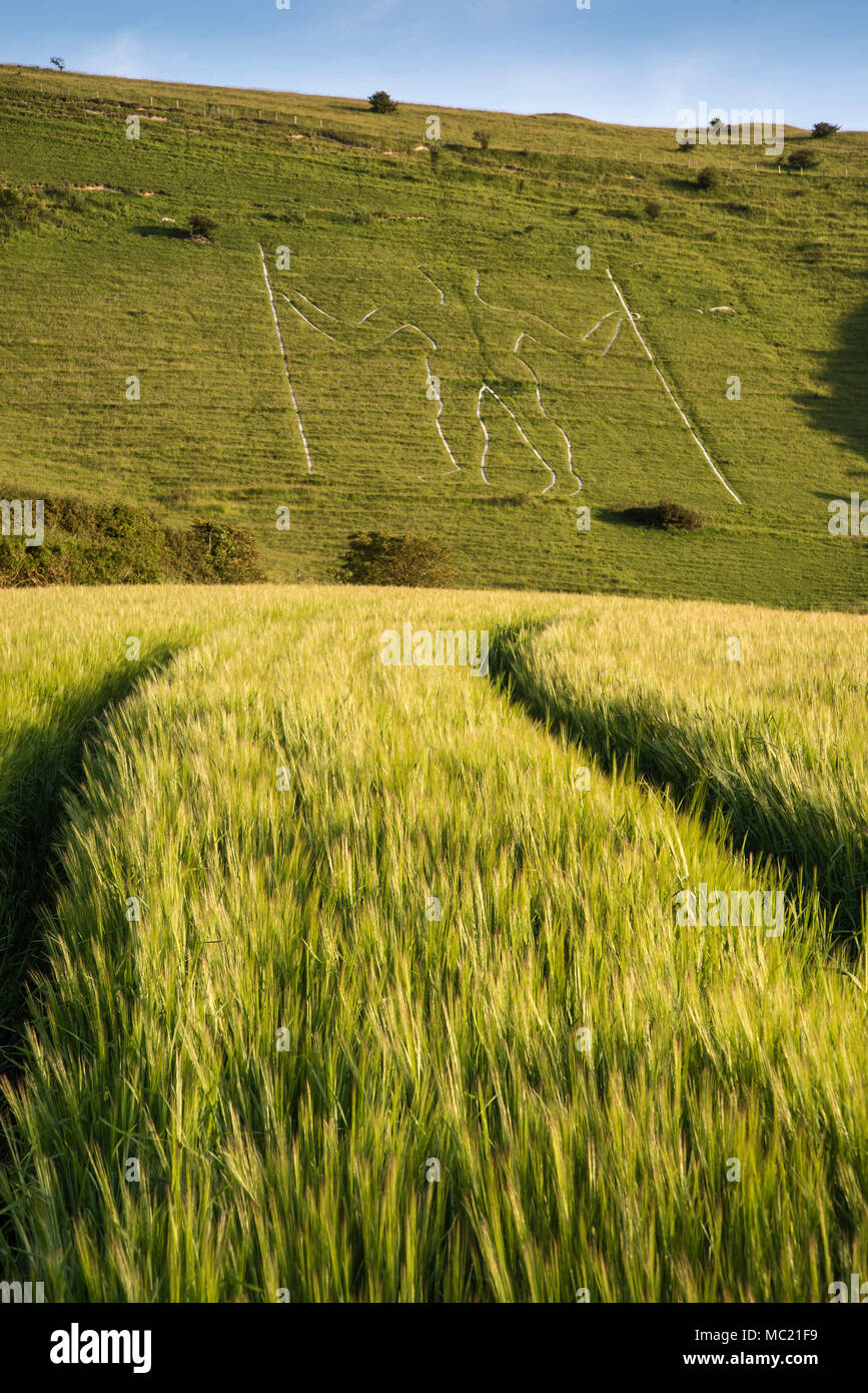 Landscape image of Long Man of Wilmington ancient chalk carving on ...