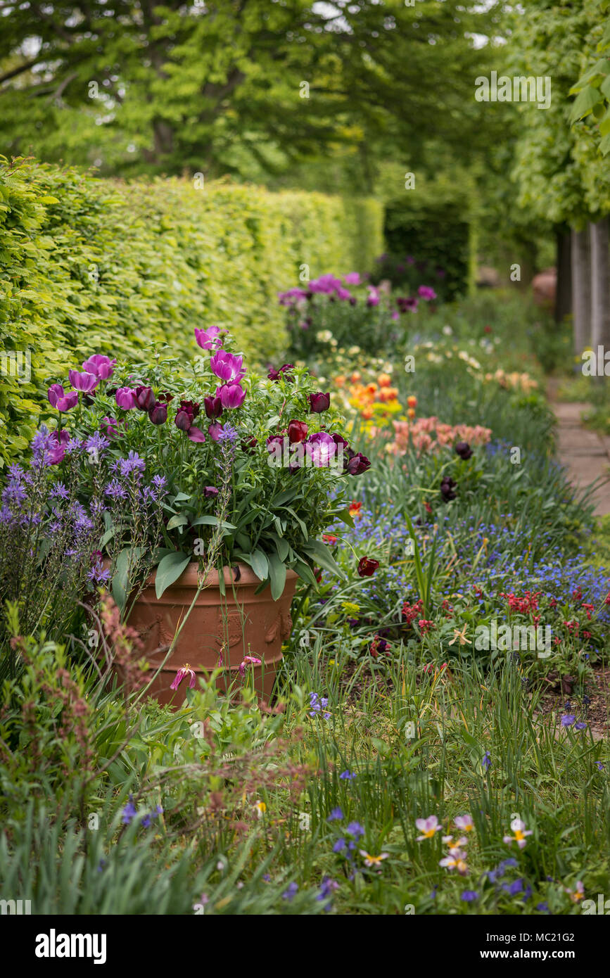 Quintessential English country garden scene landscape with fresh Spring ...
