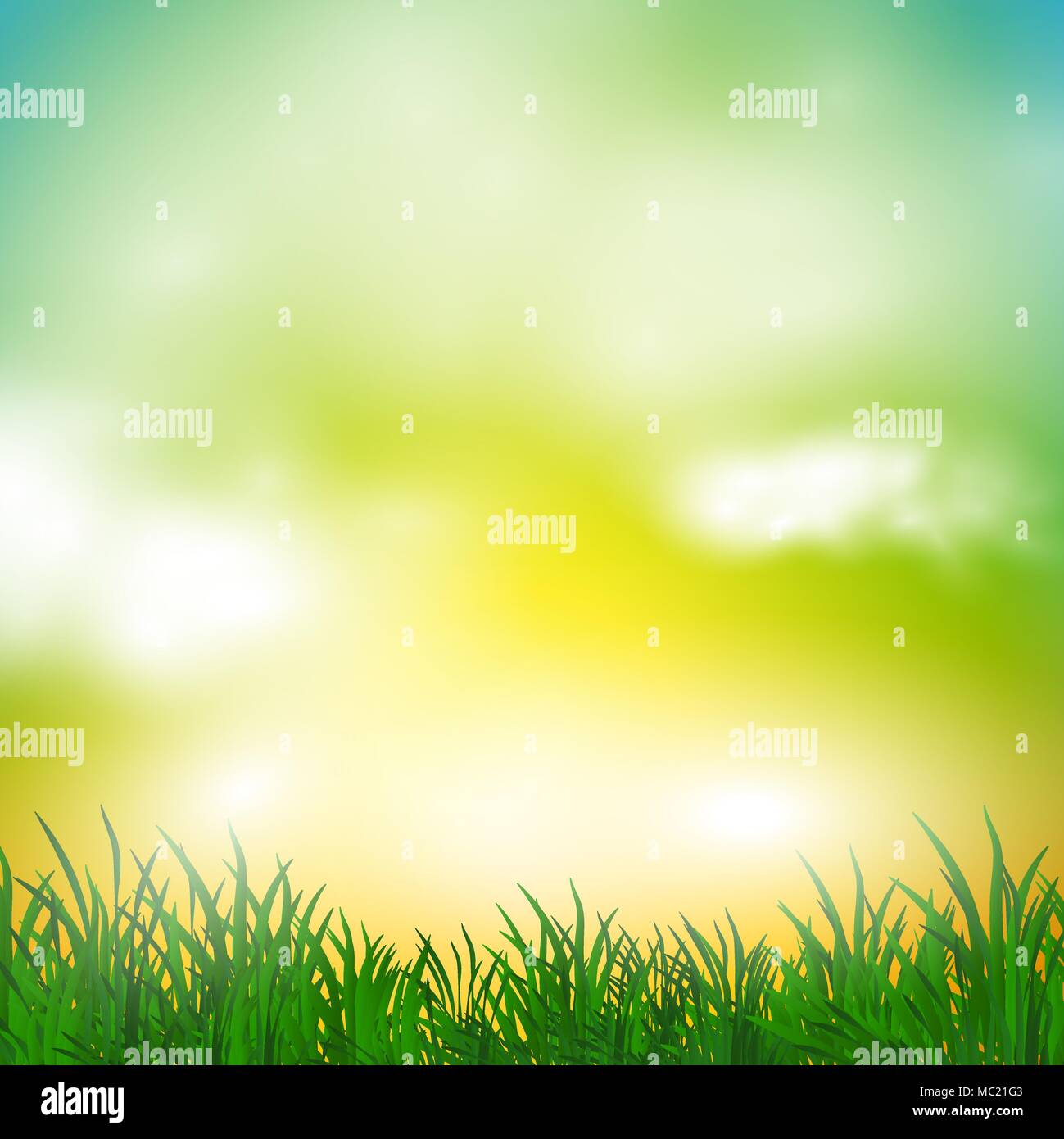 abstract spring background with meadow and mist Stock Vector Image ...