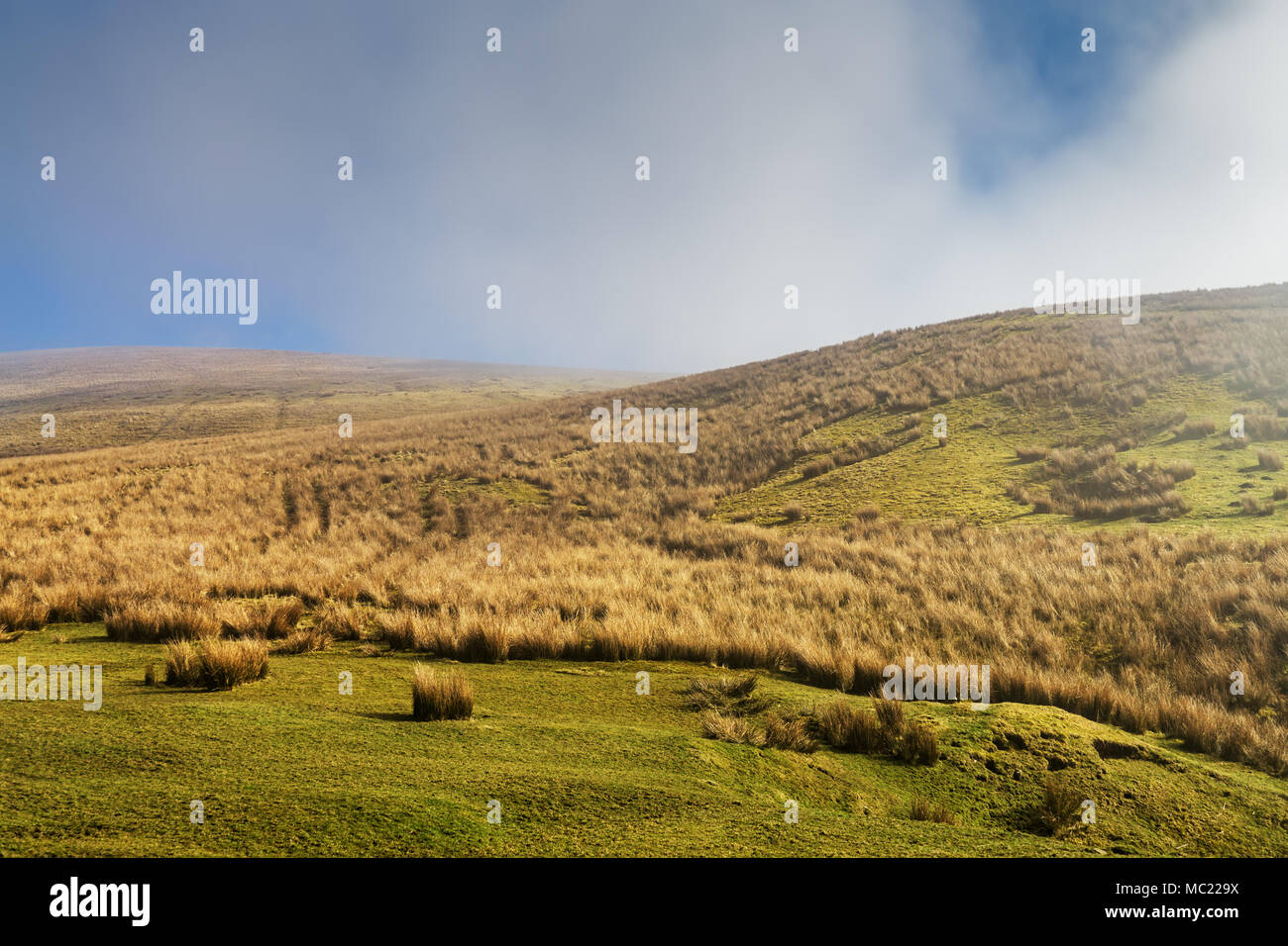 Yorkshire farming scenery hi-res stock photography and images - Alamy