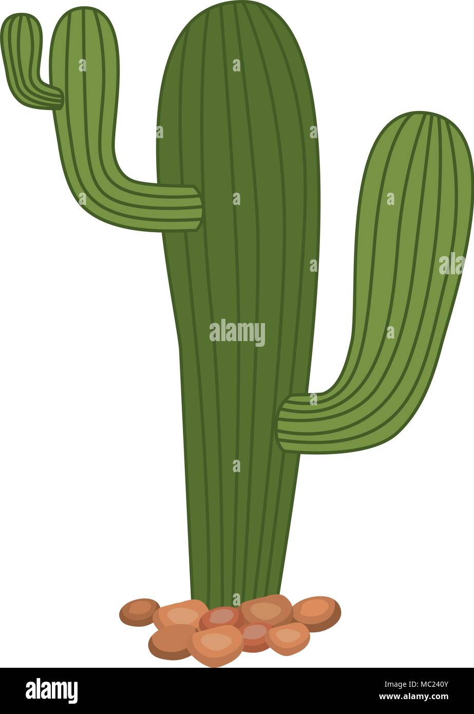 cactus nopal natural icon Stock Vector Image & Art - Alamy