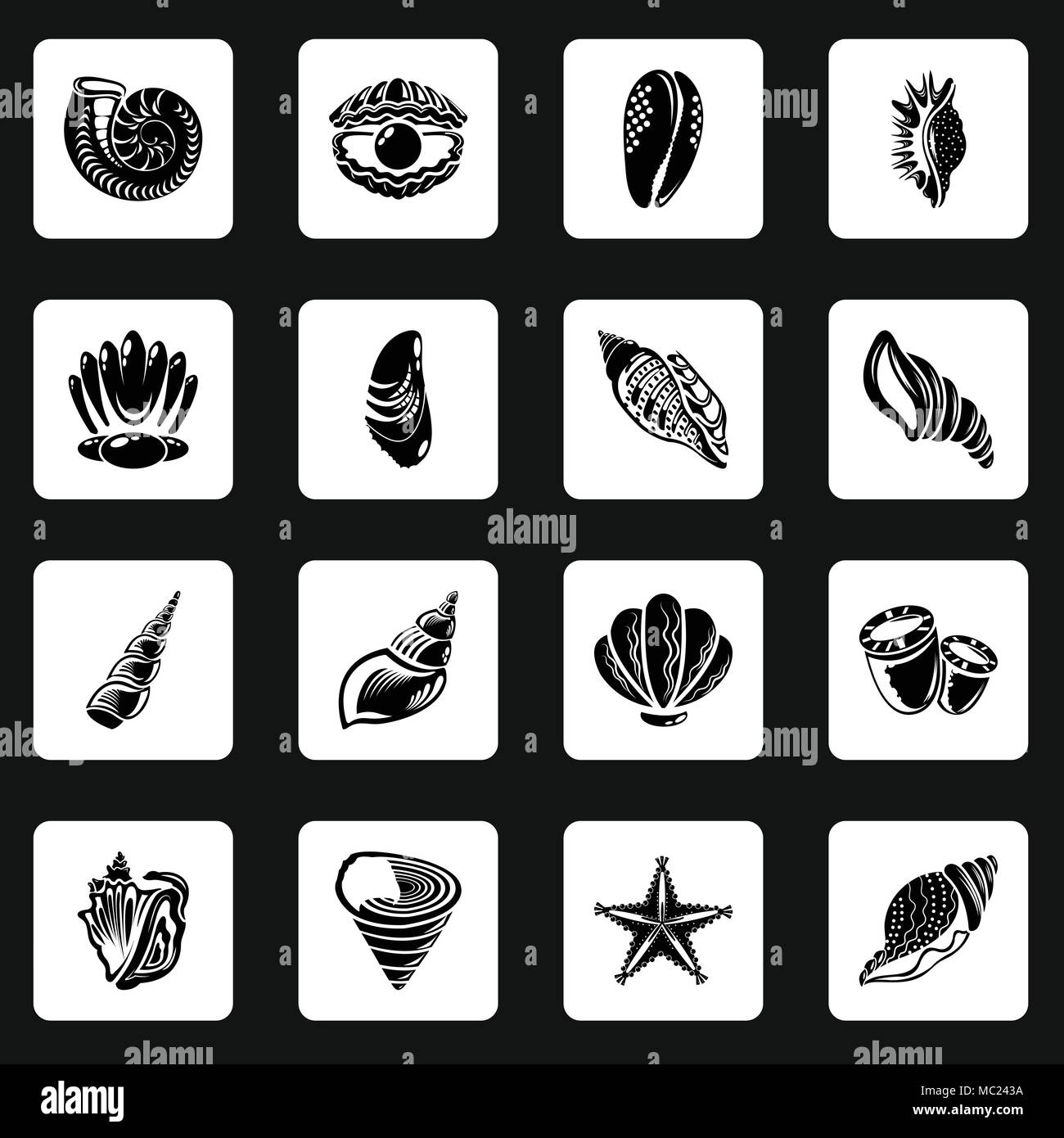 Horse conch shell Stock Vector Images - Alamy