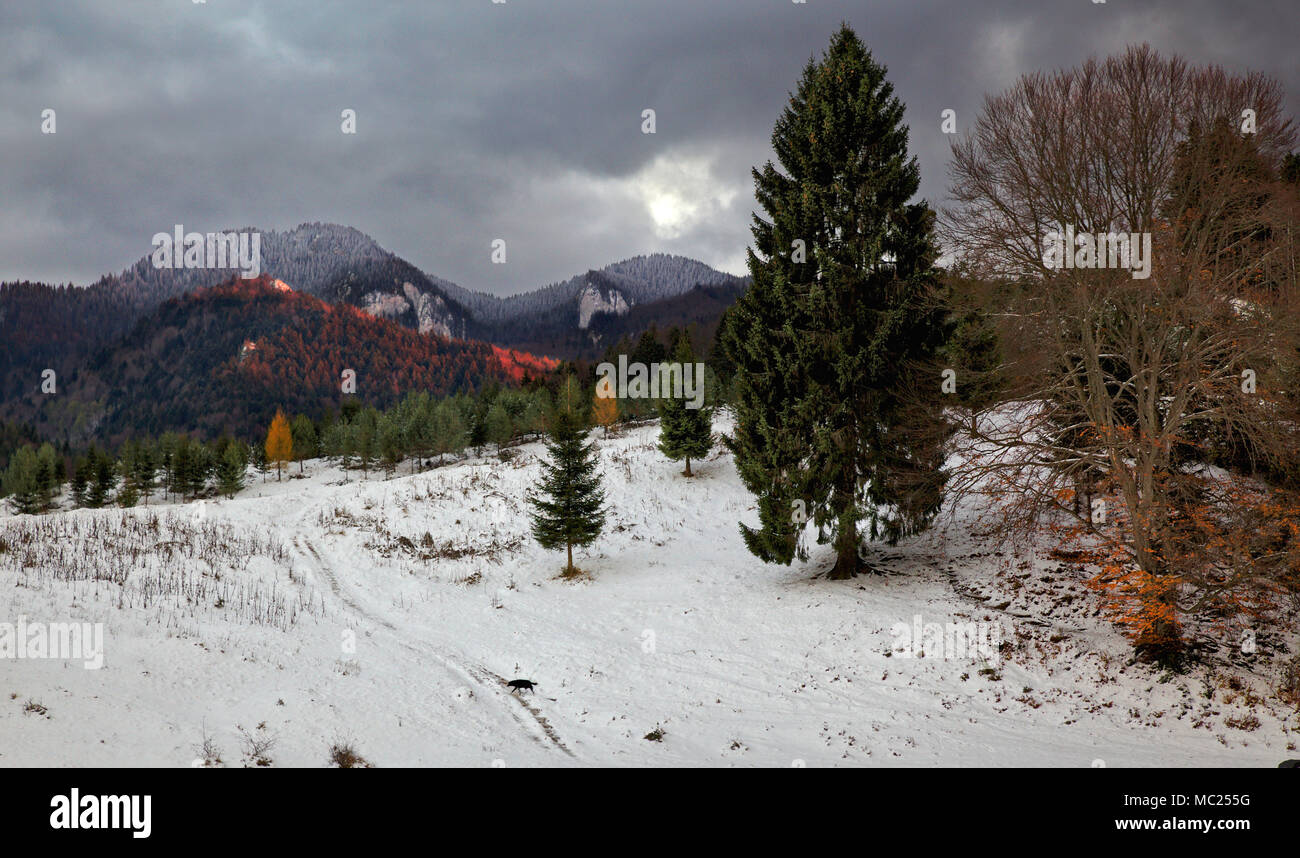 Romania Brasov Dambul Morii Stock Photo - Alamy