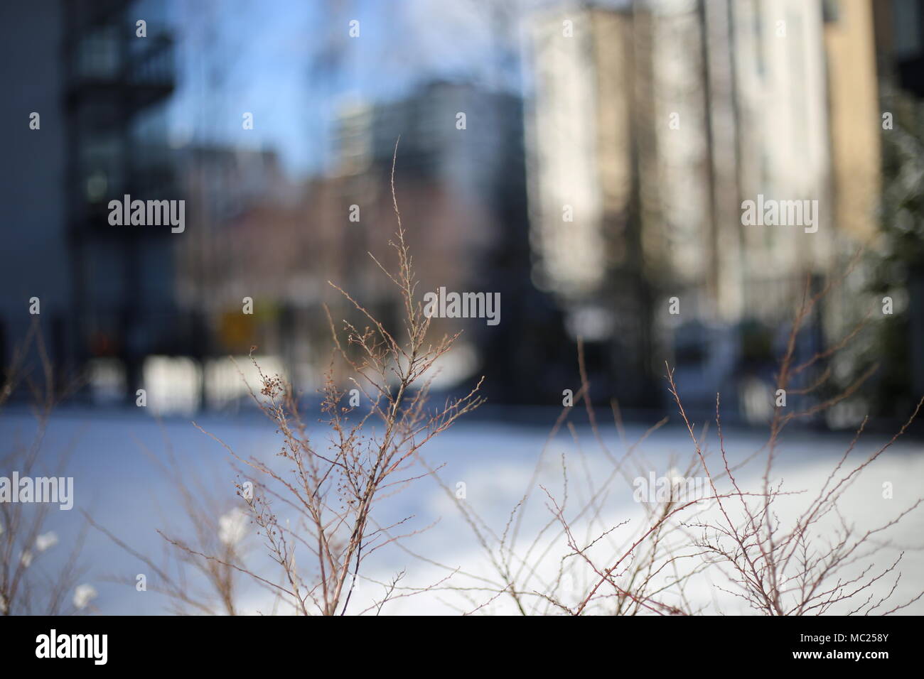 Light brown buildings hi-res stock photography and images - Alamy
