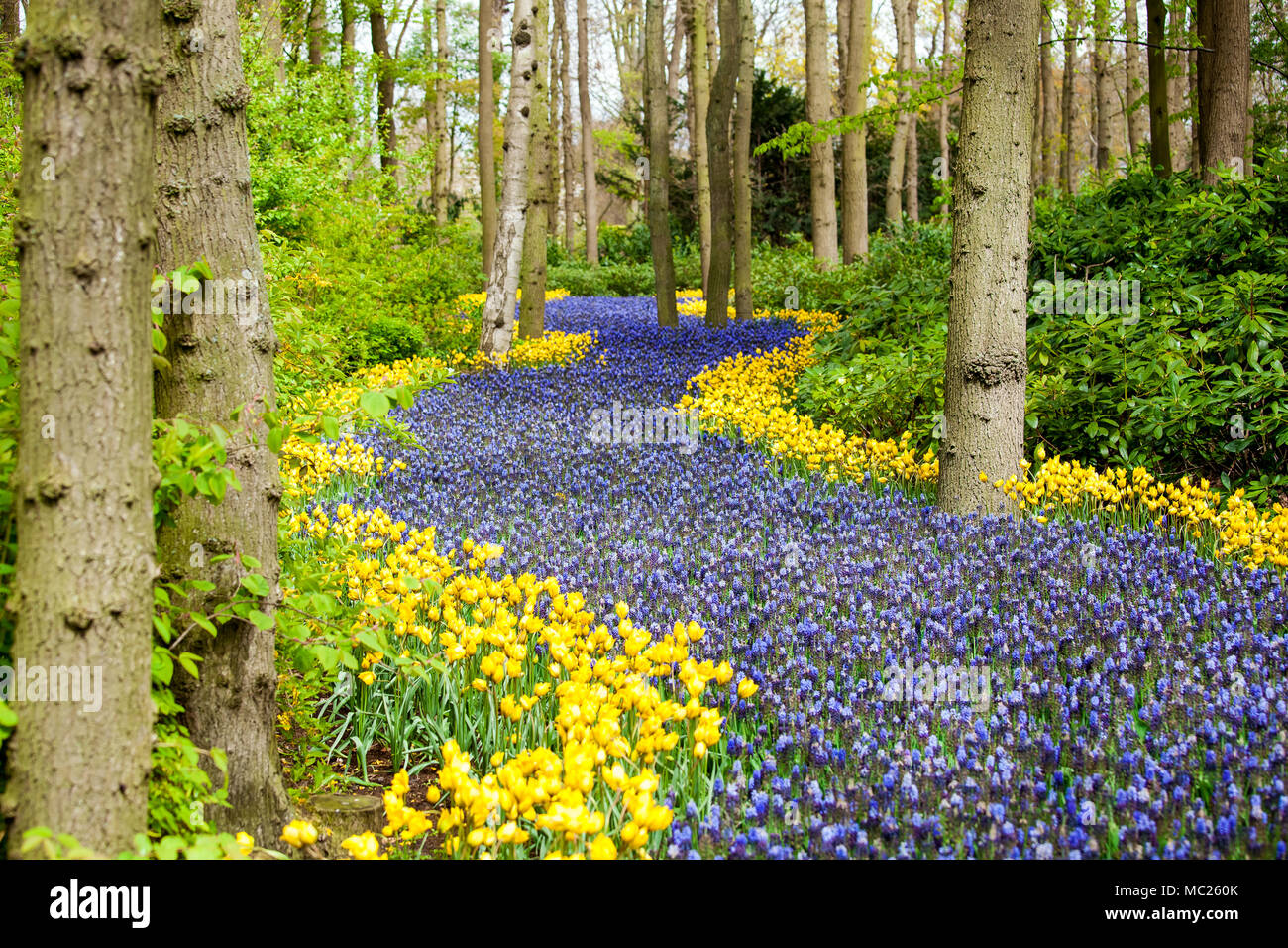 Flowers field background Stock Photo - Alamy