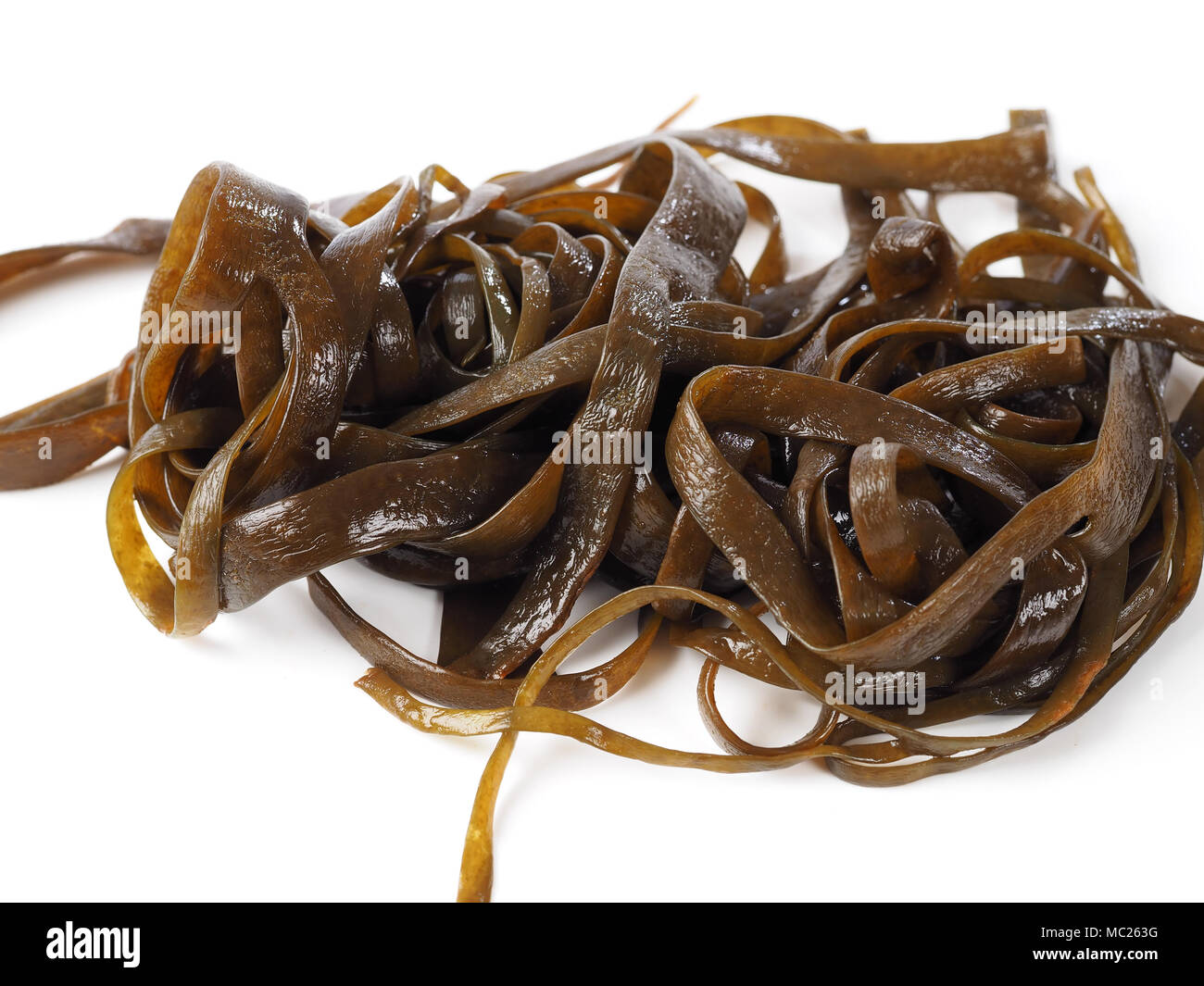 Thongweed – Sea thong – Sea spaghetti – Espagheti de mar Sea spaghetti ...
