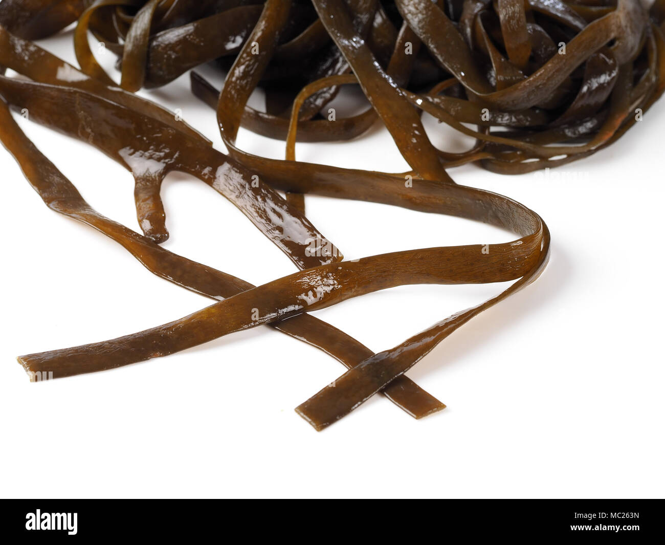 Thongweed – Sea thong – Sea spaghetti – Espagheti de mar Sea spaghetti ...