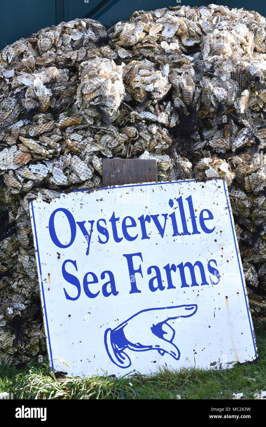 Oysterville Sea Farms Stock Photo - Alamy