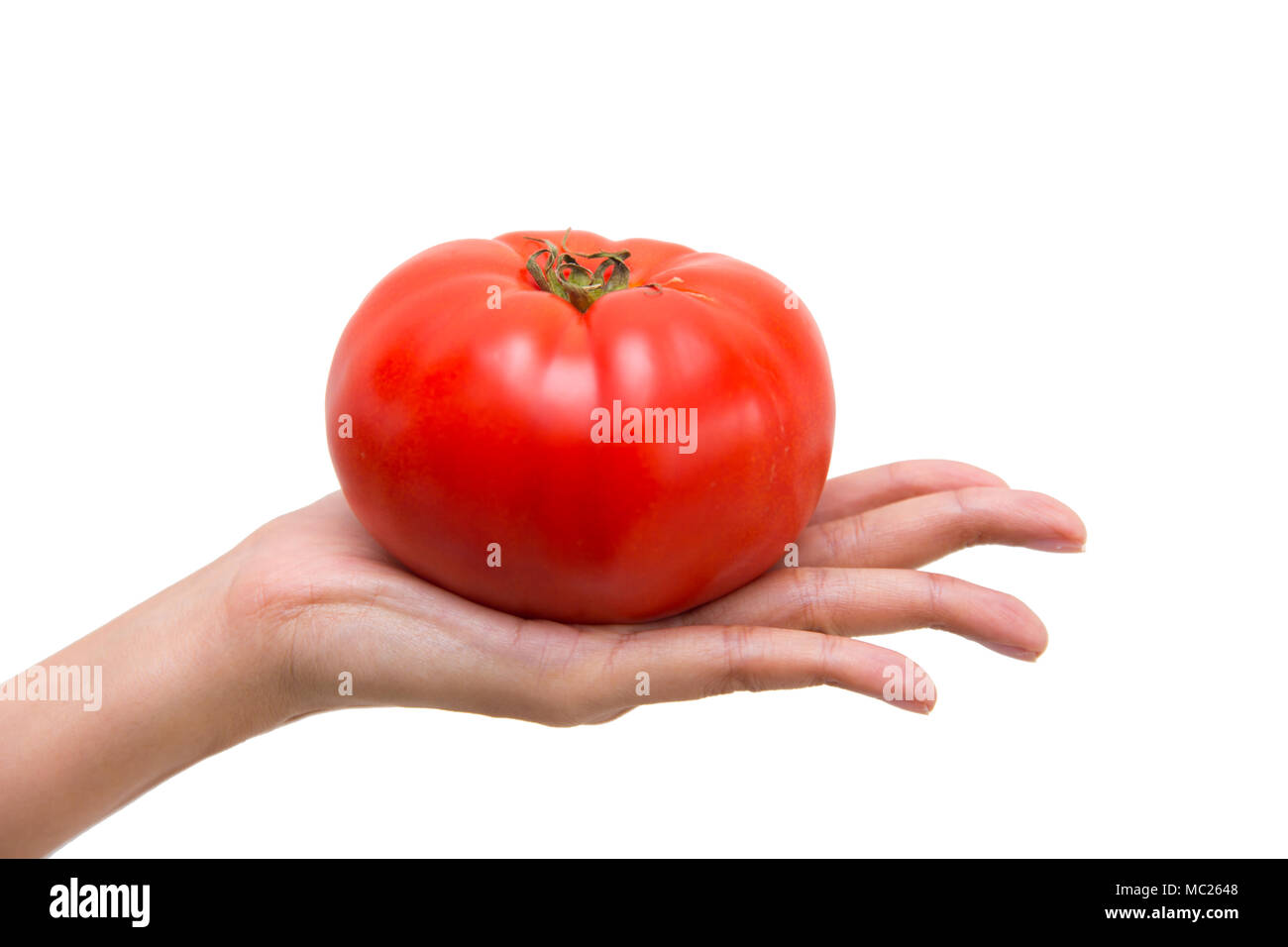 woman's hand showing fresh big red tomato isolated on white with ...