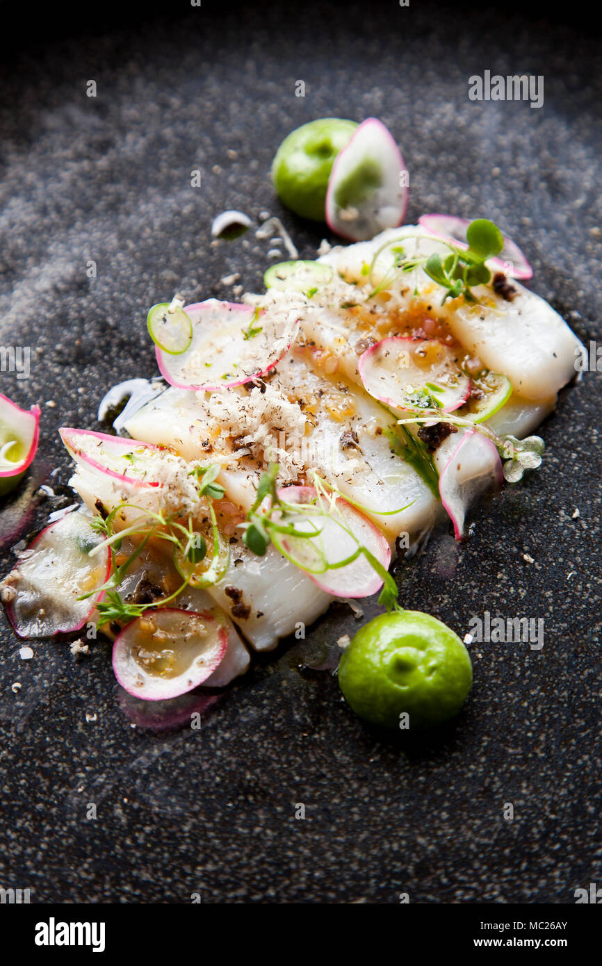 Scallops, Maximo Bistrot Mexico City, Mexico Stock Photo - Alamy