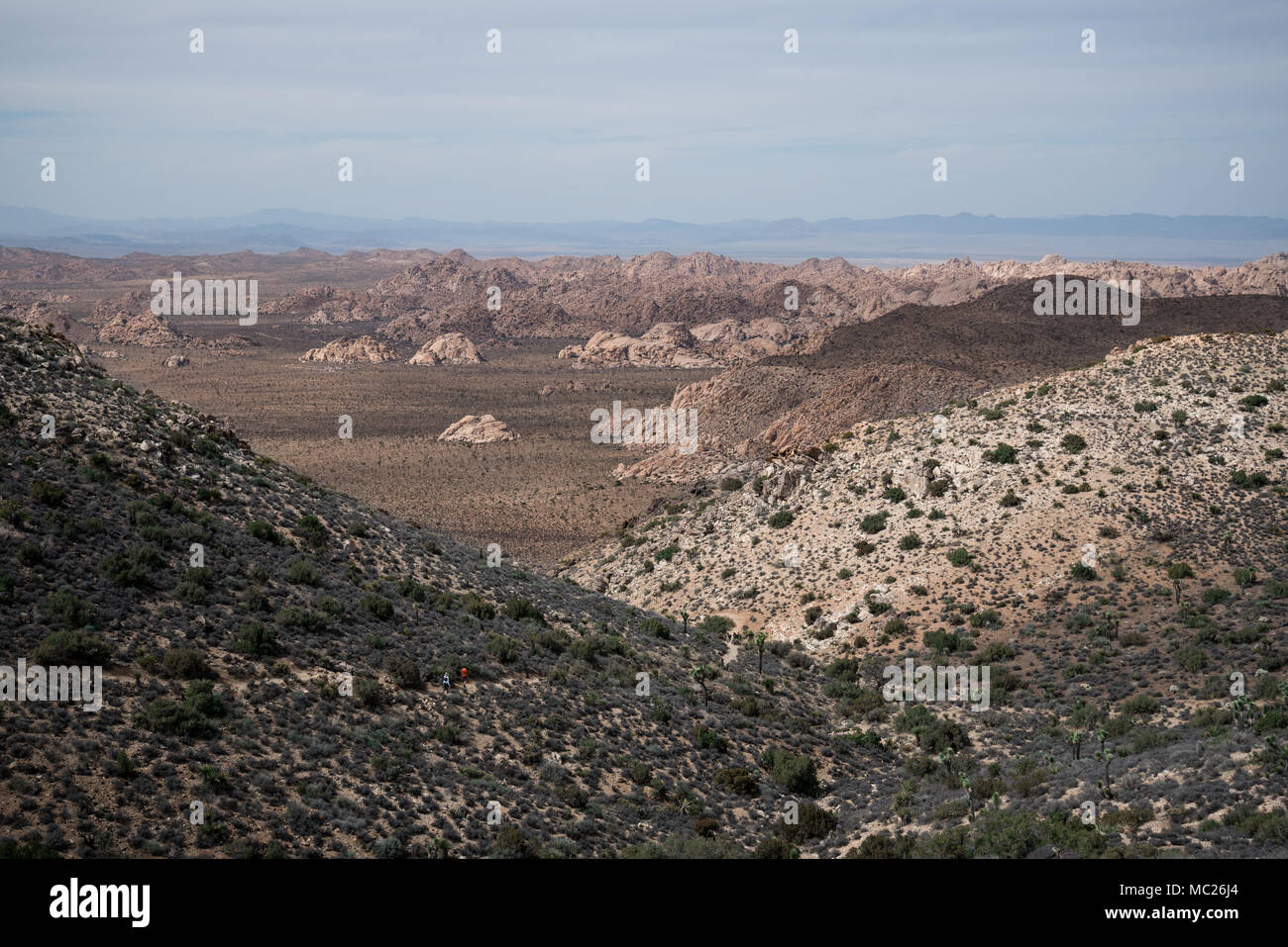 Desert views hi-res stock photography and images - Alamy