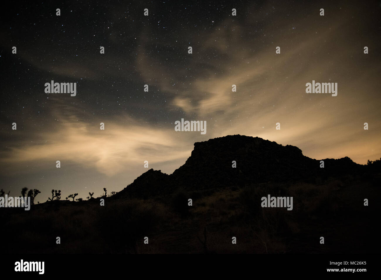 Cloudy Night over Joshua Tree Stock Photo - Alamy