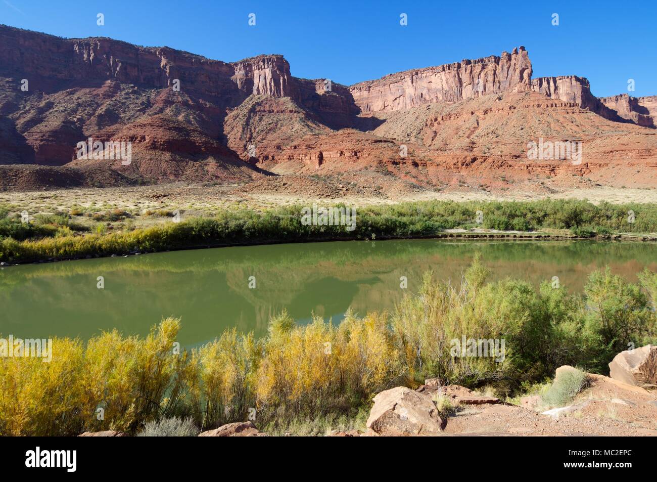 Hill ecosystem hi-res stock photography and images - Alamy