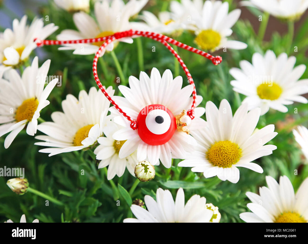 traditional greek March bracelet with evil eye on blooming daisy ...