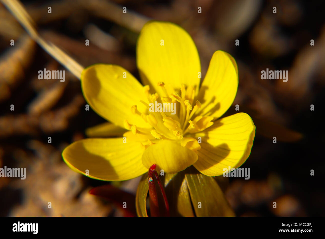 First guest hi-res stock photography and images - Alamy