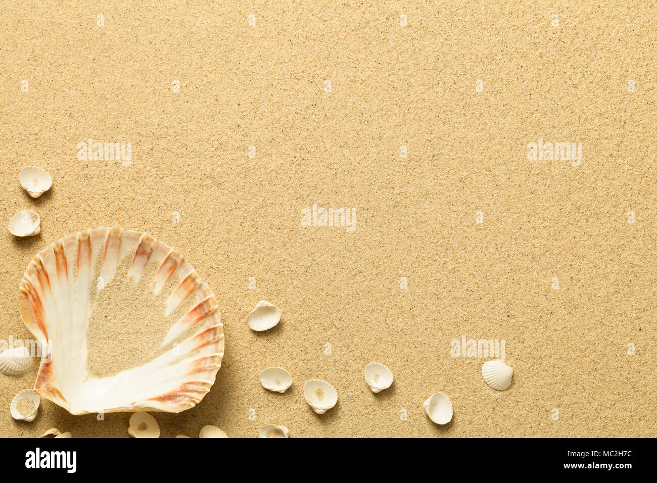 Summer, sand background with shells. Beach texture. Copy space. Top ...