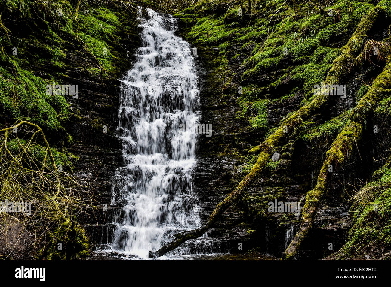 Water Break it's Neck Waterfall in the Warren Wood. Within Radnor ...