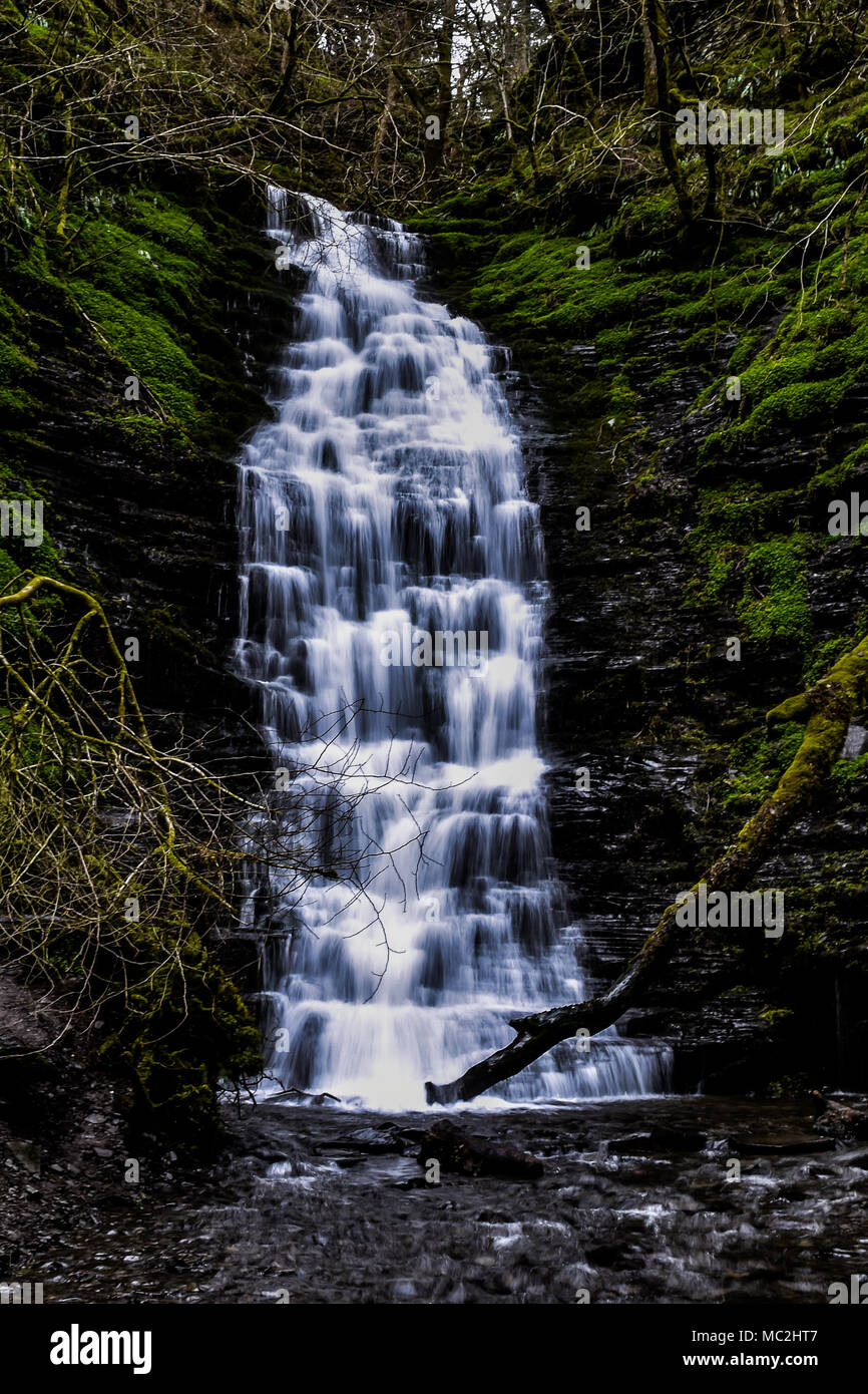 Water Break it's Neck Waterfall in the Warren Wood. Within Radnor ...