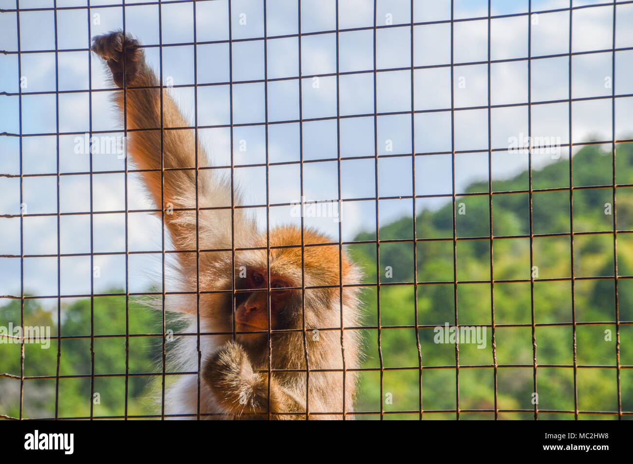 Sun behind bars hi-res stock photography and images - Alamy