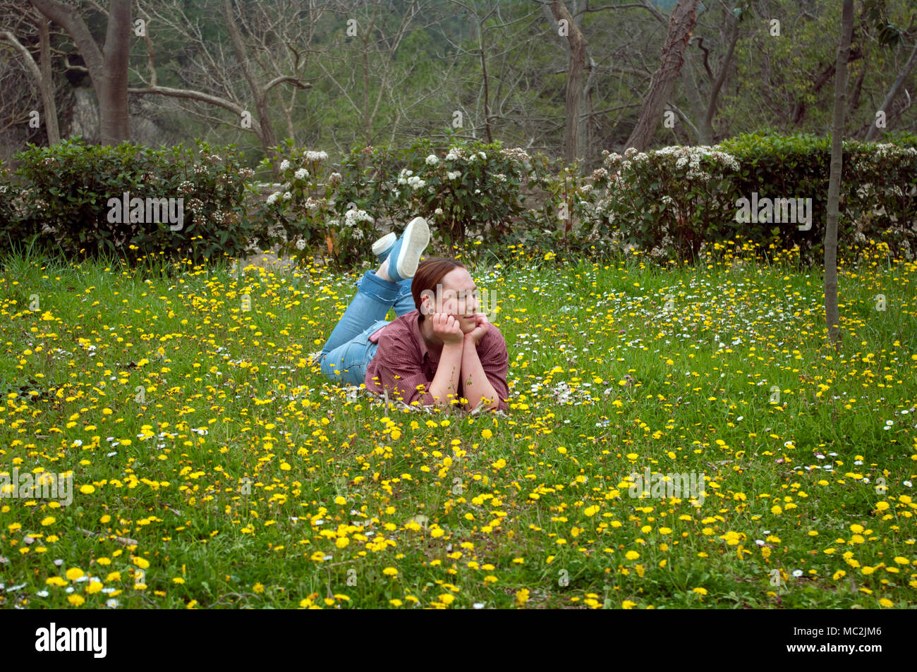 girl relaxing in the field of flowers Stock Photo - Alamy