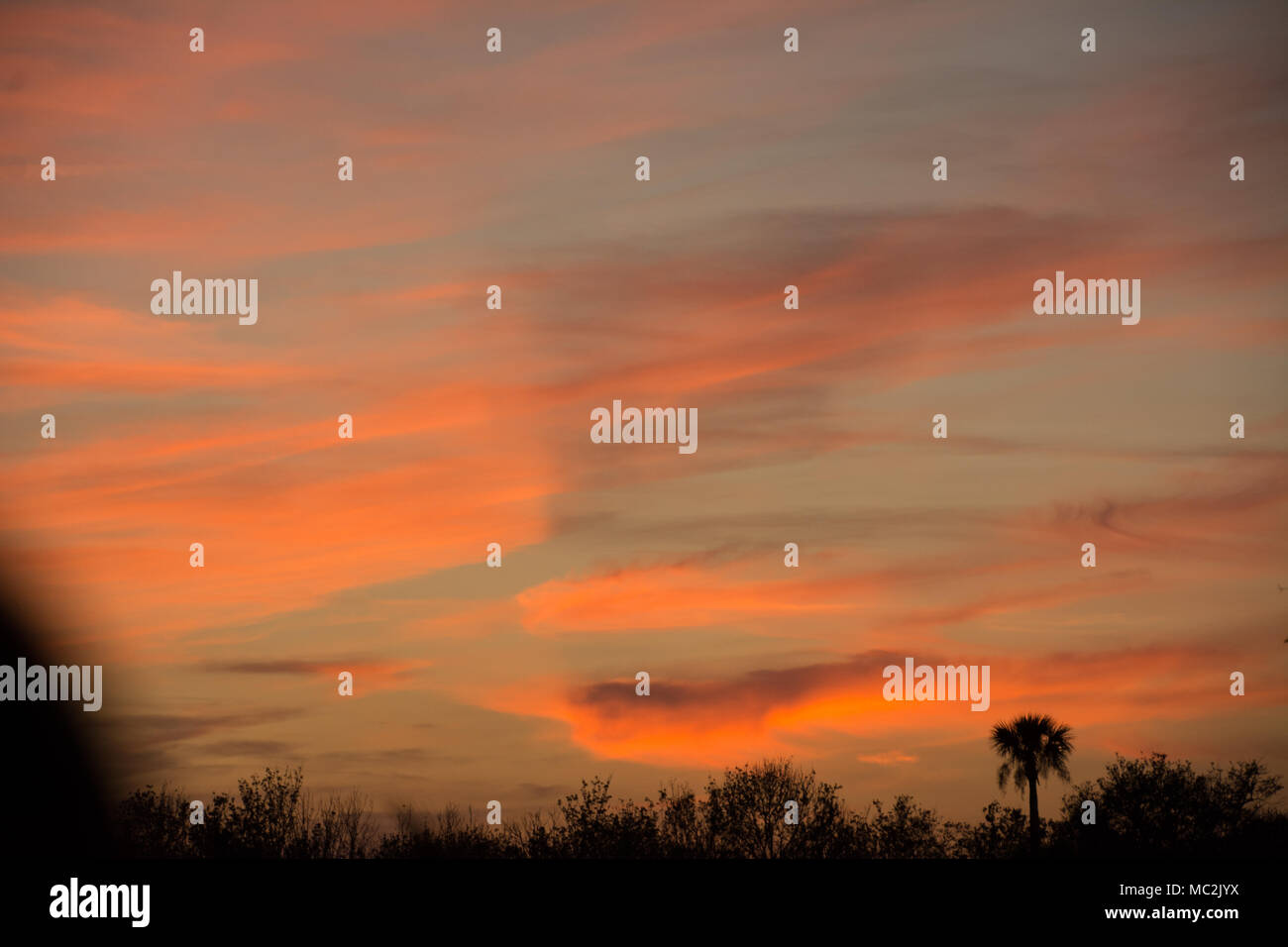 Pink tropical sunset hi-res stock photography and images - Alamy