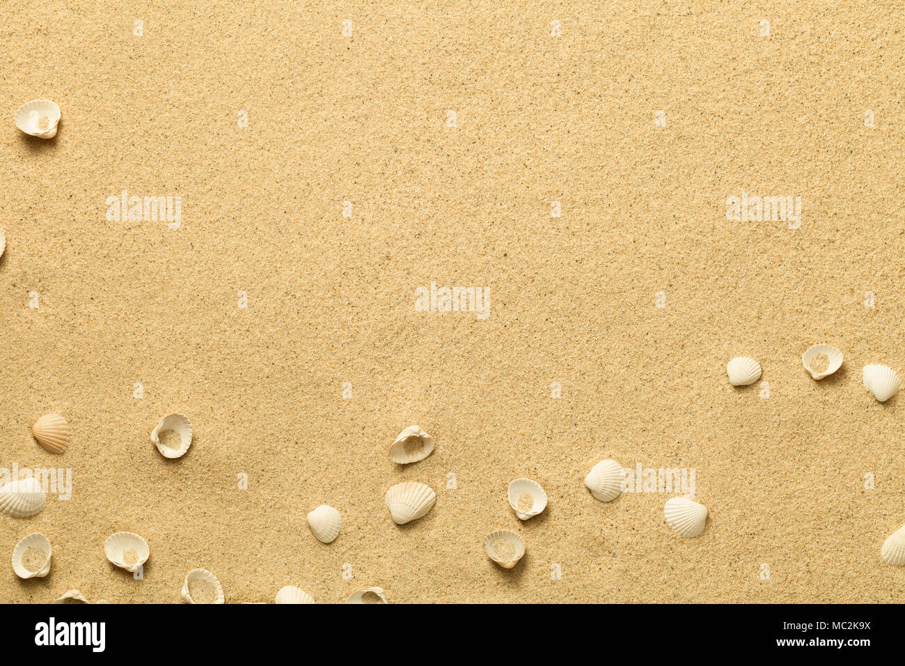 Summer, sand background with shells. Beach texture. Copy space. Top ...