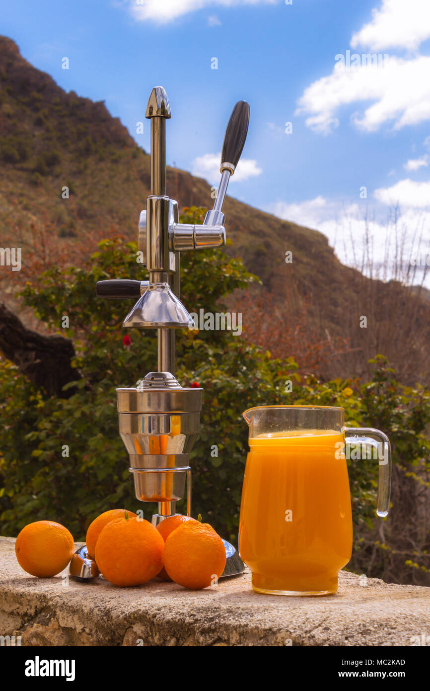 Freshly squeezed Orange Juice in a glass pitcher, made with fresh ...