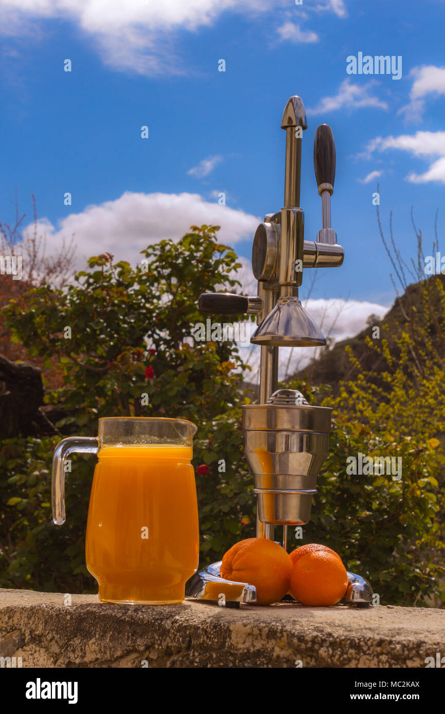 Freshly squeezed Orange Juice in a glass pitcher, made with fresh ...