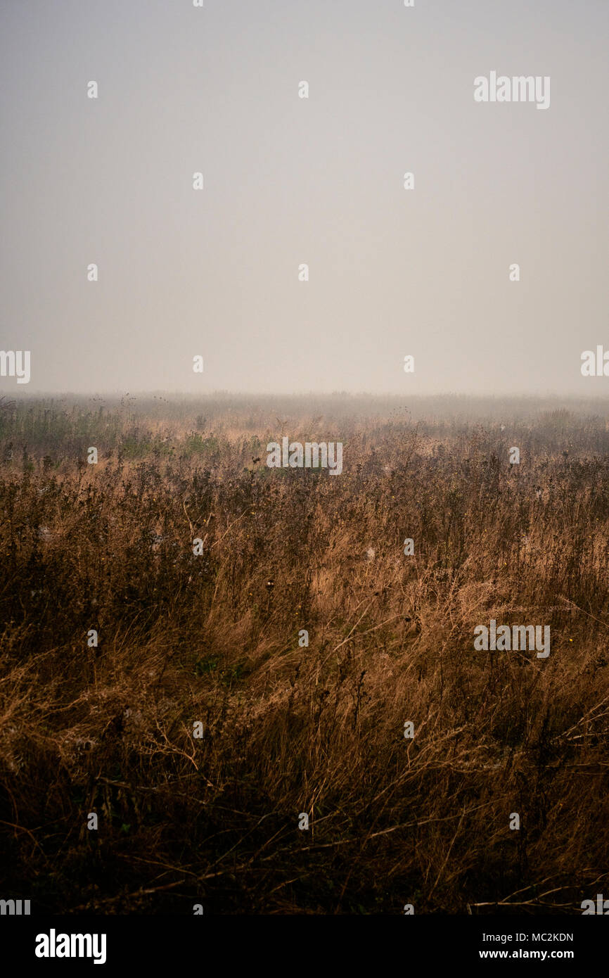 Empty desolation hi-res stock photography and images - Alamy