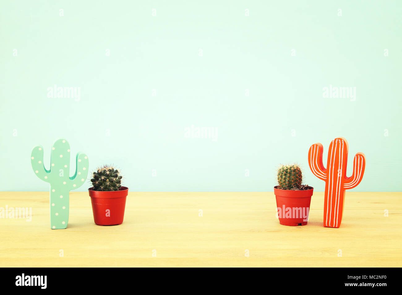 mage of cactus in a pot infront of wooden blue background Stock Photo ...