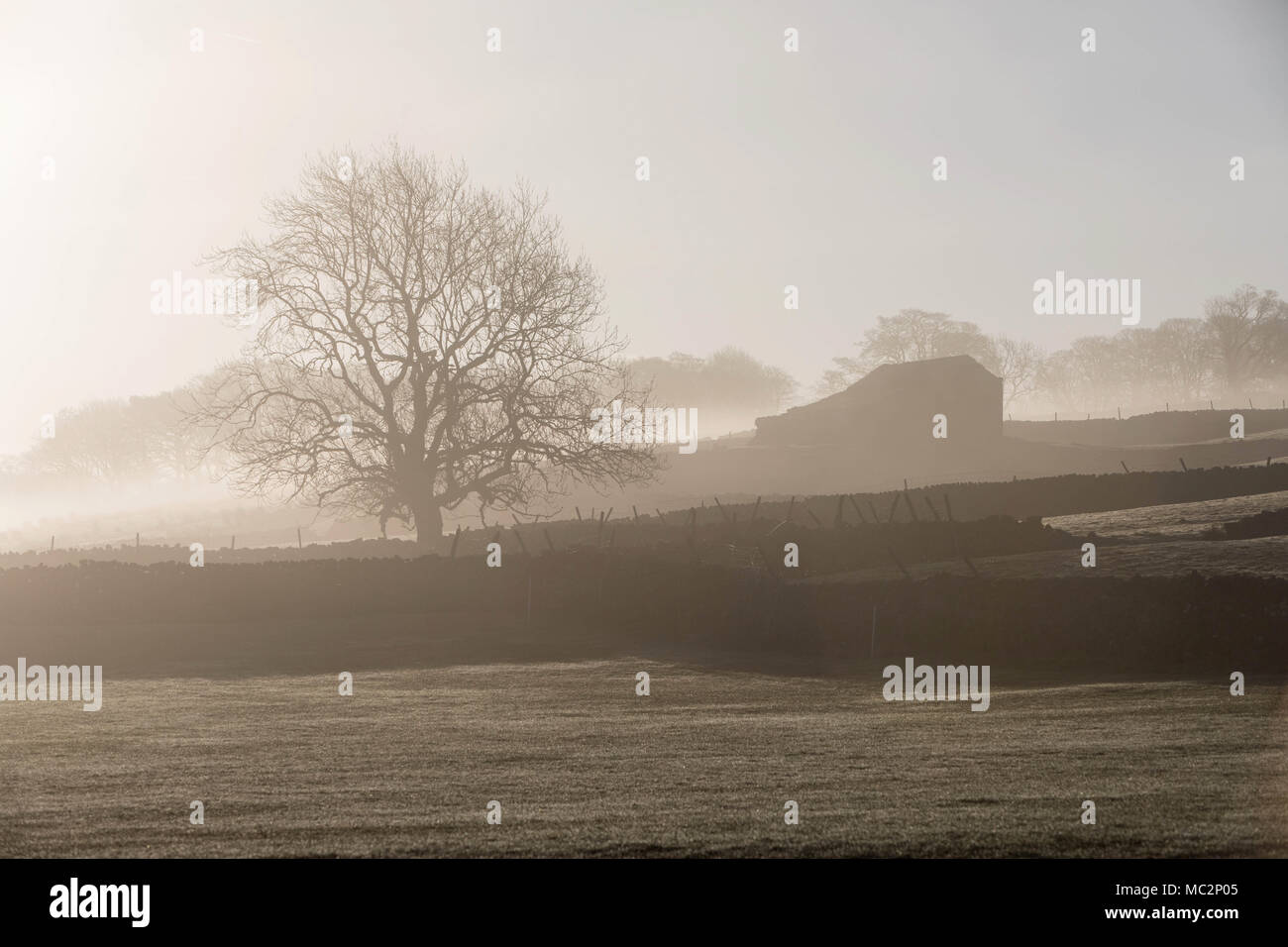 Dawn in Wensleydale Stock Photo - Alamy