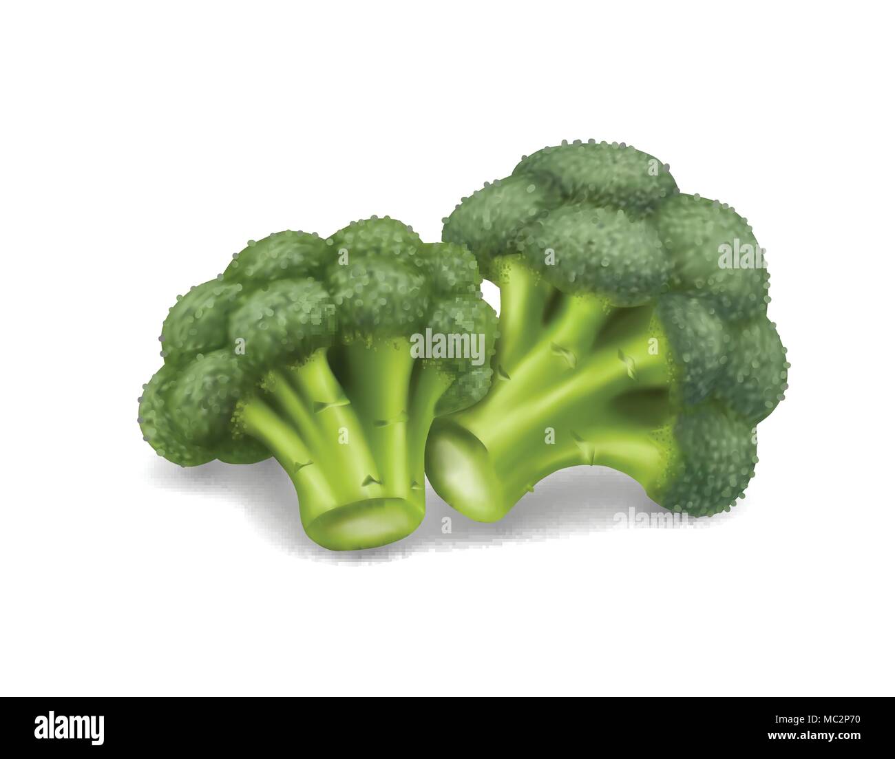 Broccoli Vector Illustration Stock Vector Image & Art - Alamy