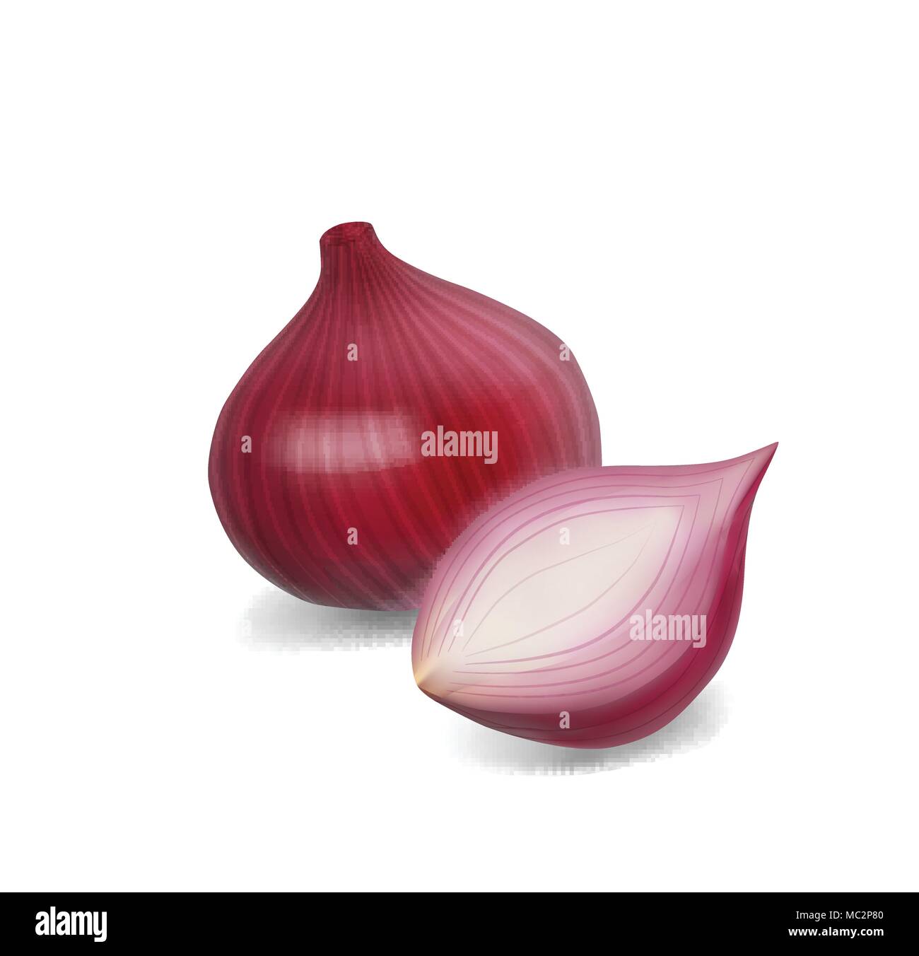 Whole red onion on Stock Vector Images - Alamy