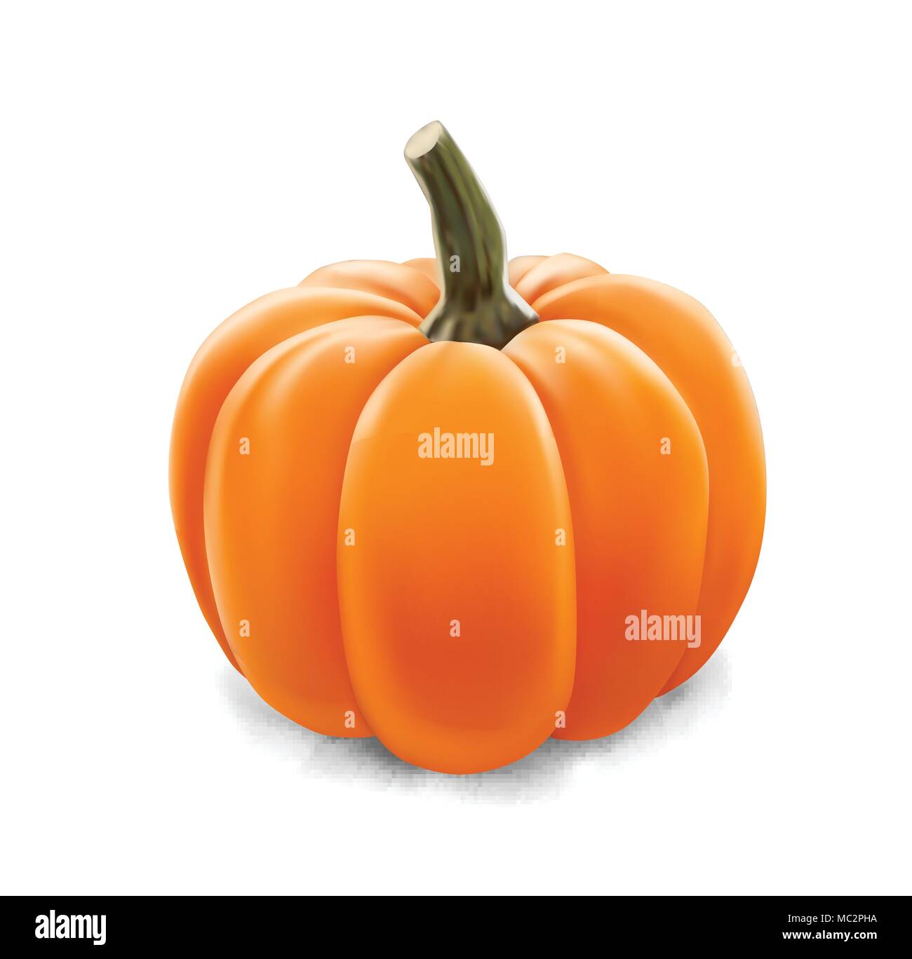 Realistic vector pumpkin isolated on white background Stock Vector ...