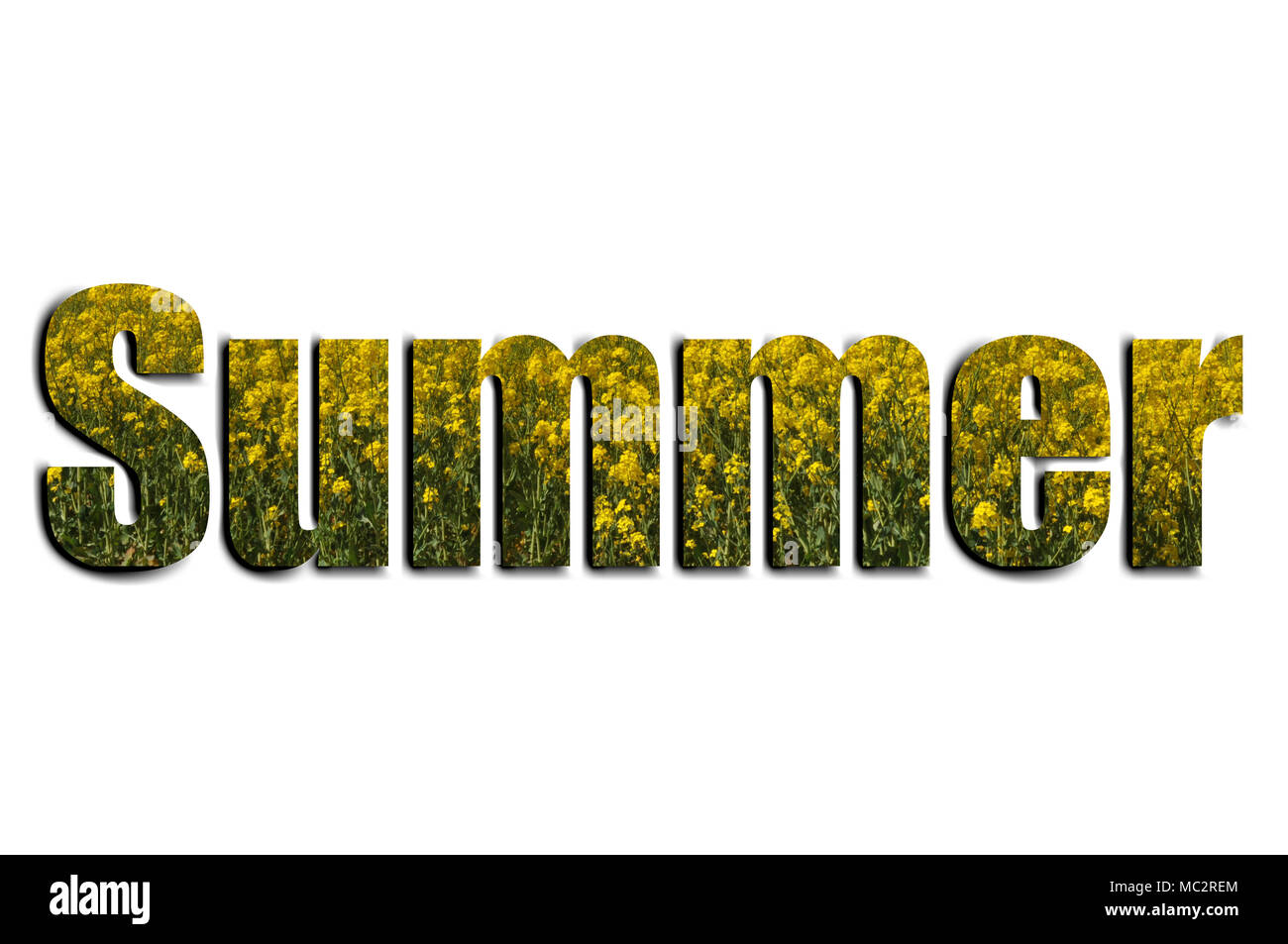 Summer time word cut out Stock Photo - Alamy