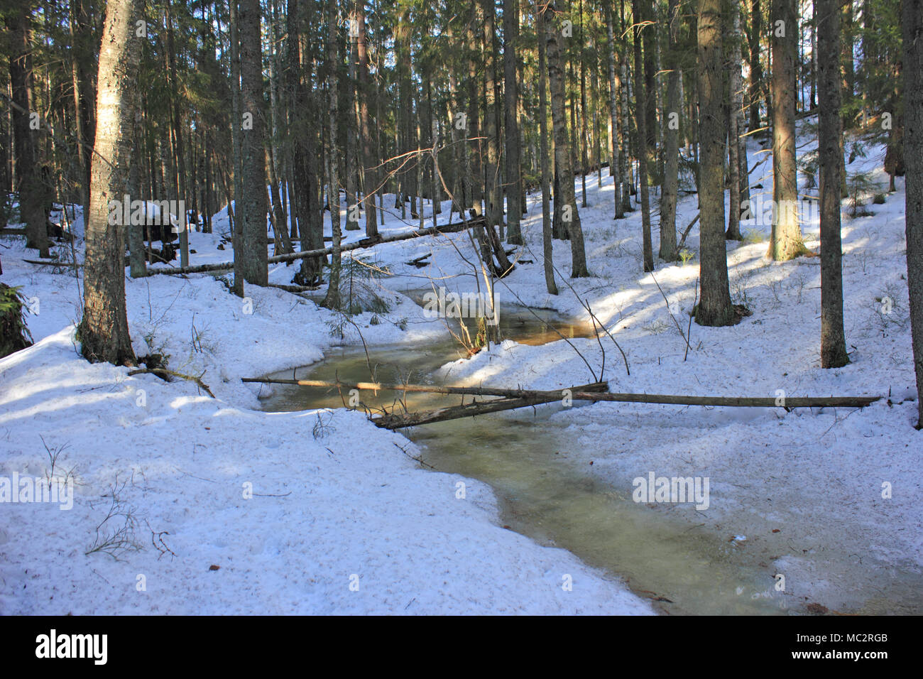 Nuuksio national park winter hi-res stock photography and images - Alamy