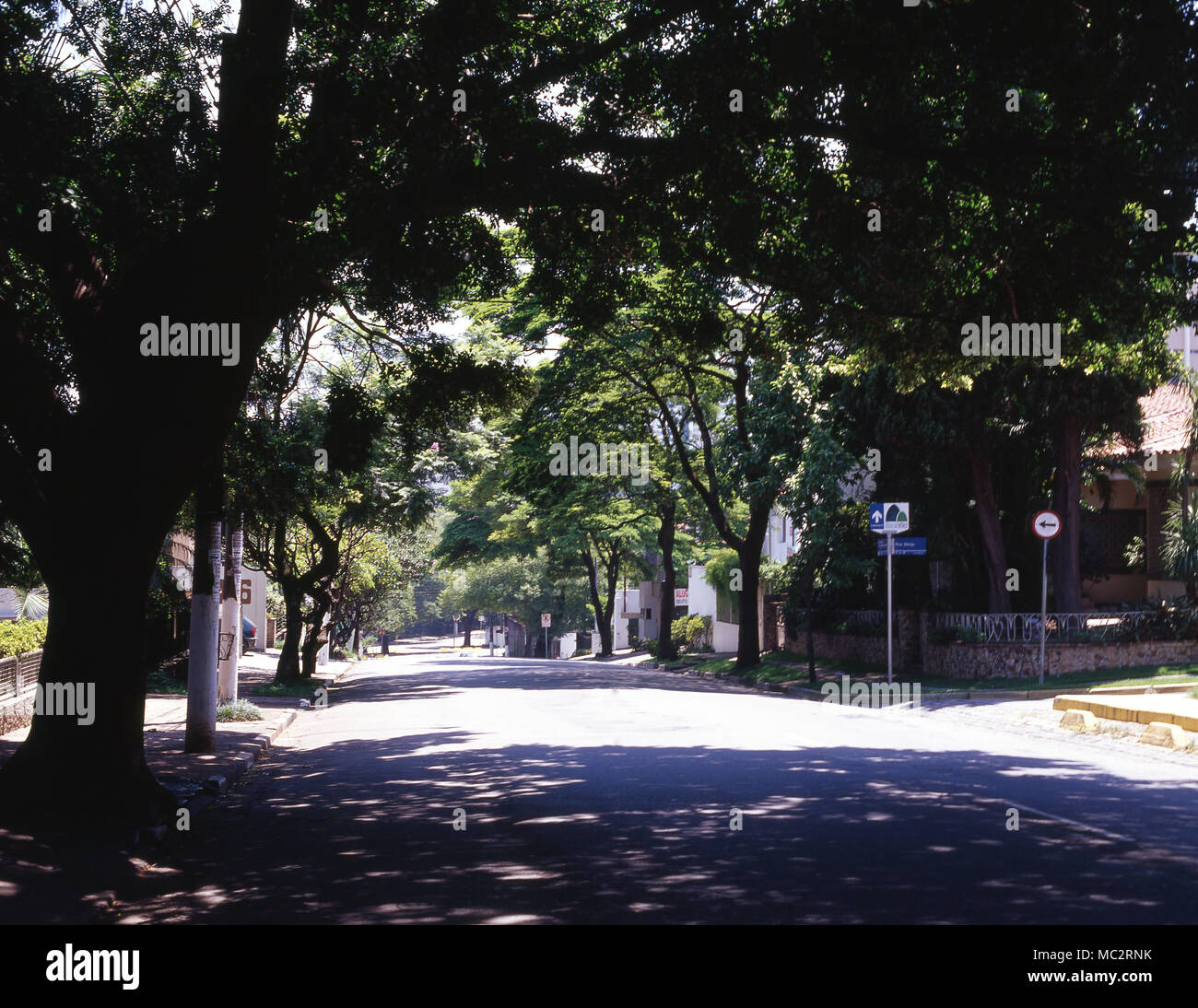 Moema, sao paulo hi-res stock photography and images - Alamy