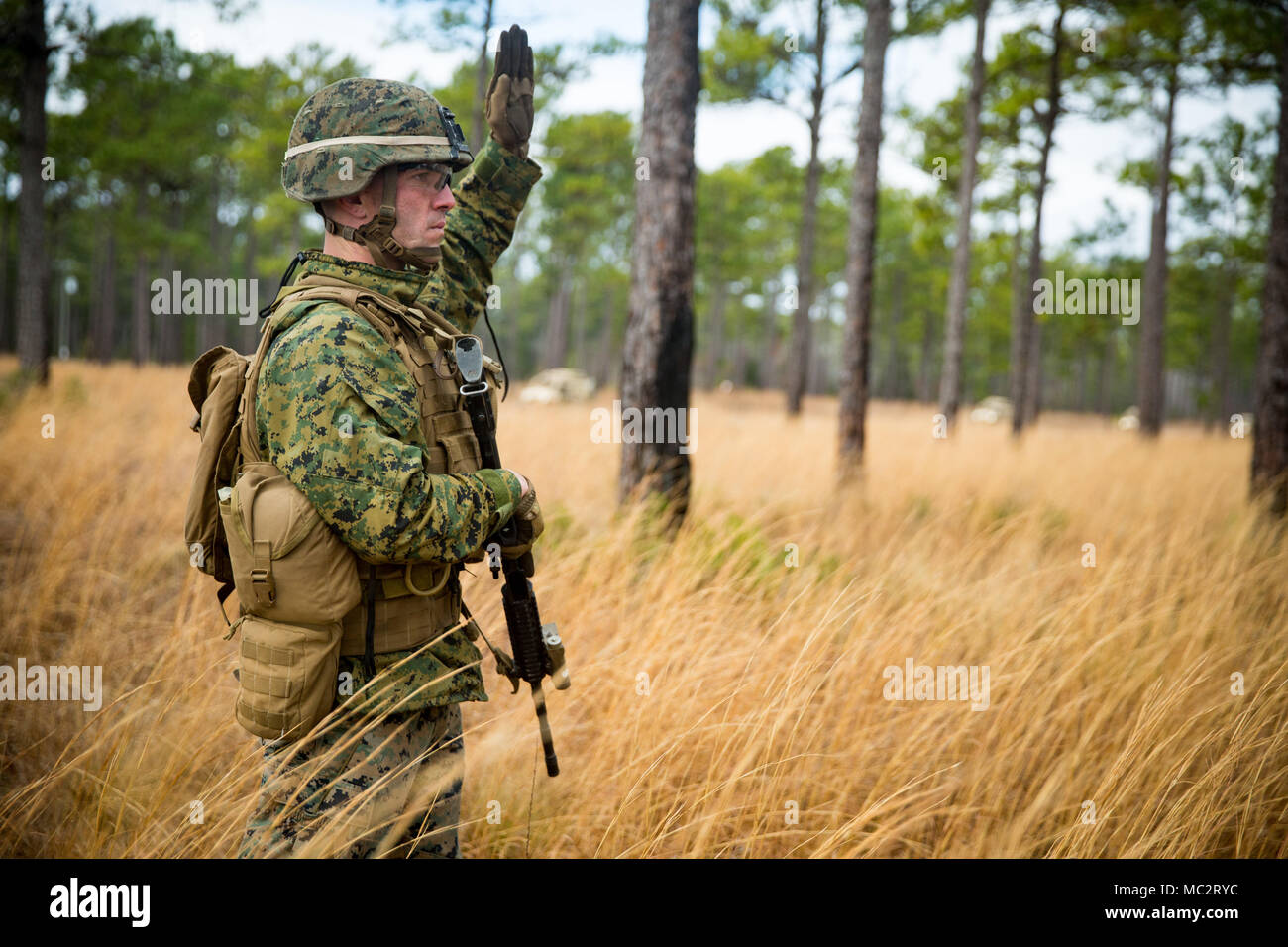 U.S. Marine Corps. Lance. Cpl. Elias J. Ringel, infantry, with Alpha ...