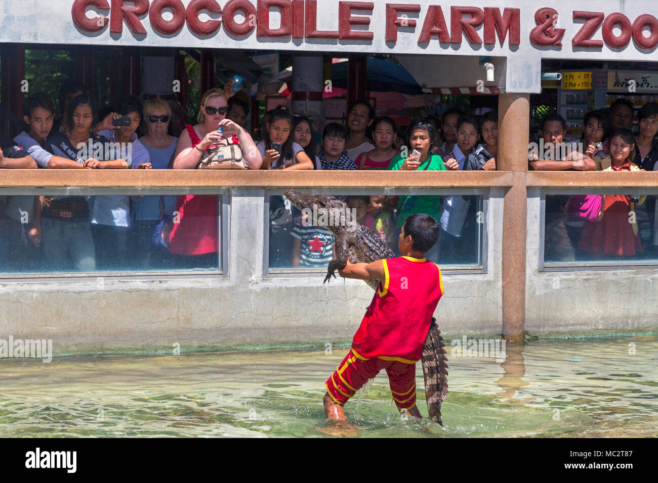 Crocodile Show at Samutprakarn Crocodile Farm and Zoo, Bangkok ...